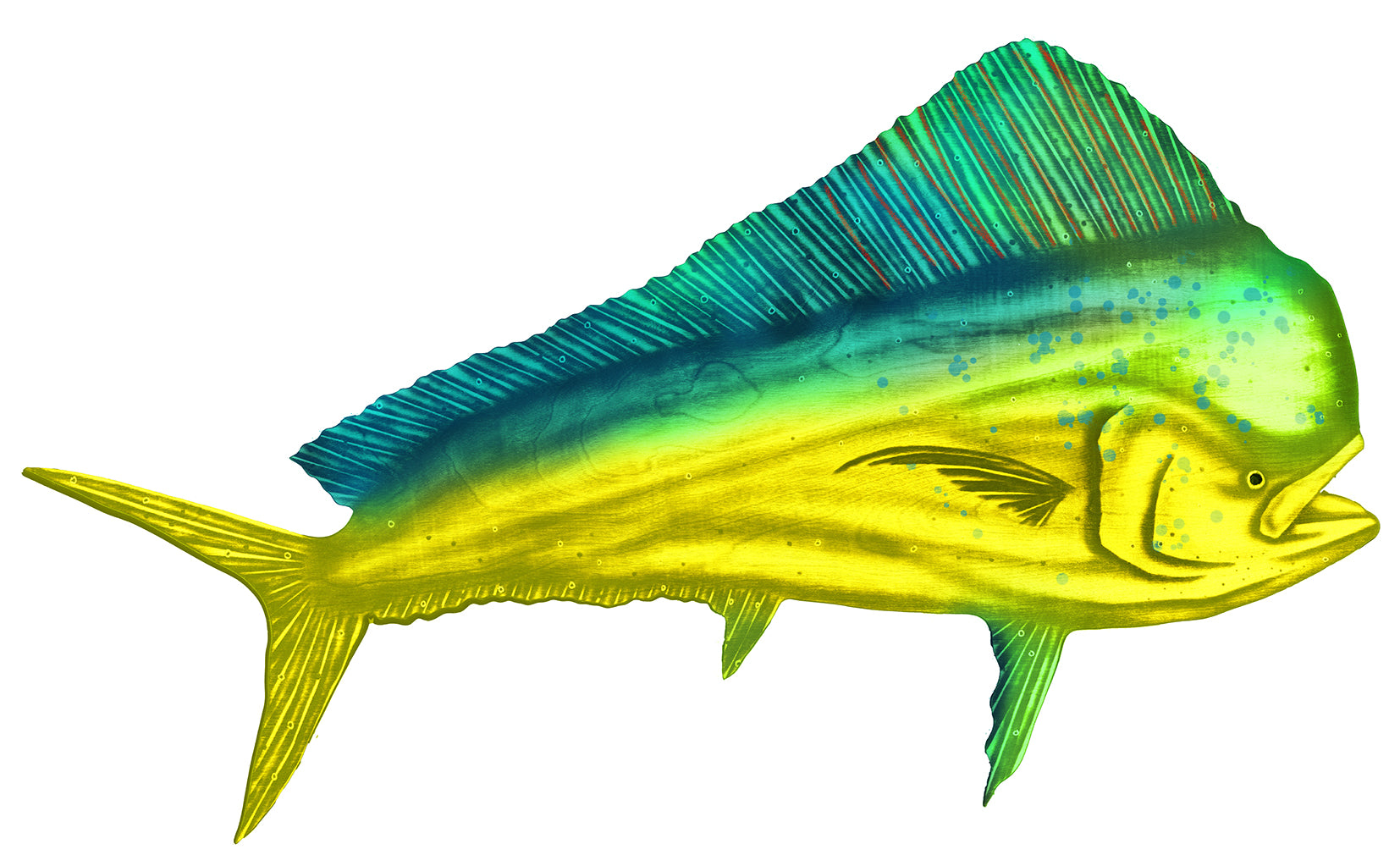 Mahi Reproduction – Capefeartorch